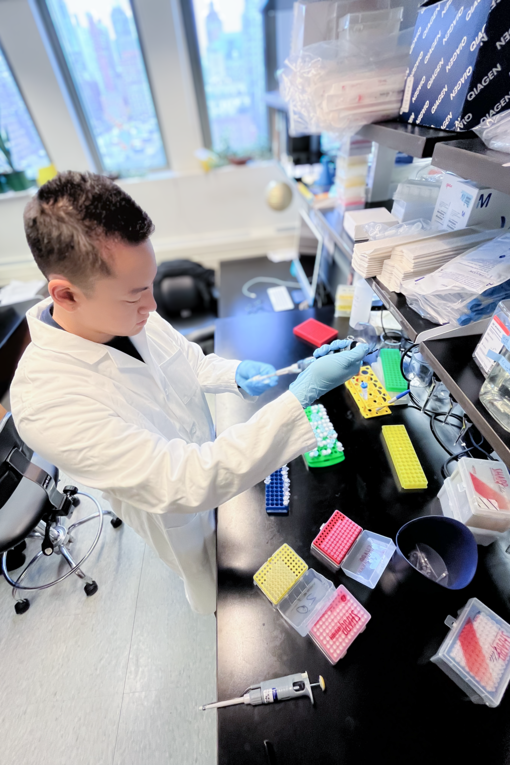 About Us – hgid.org