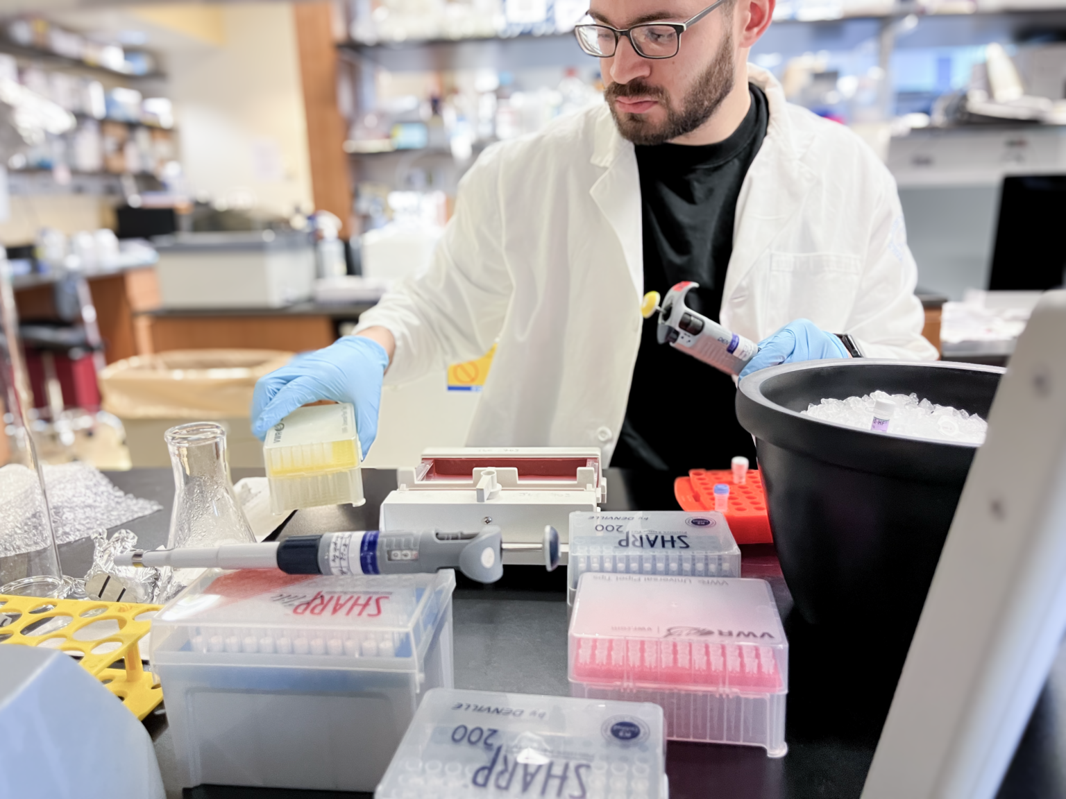 About Us – hgid.org